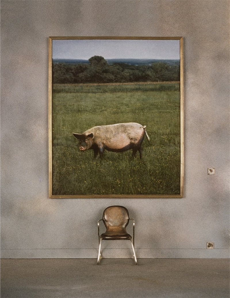 Charles Matton - Museum Exhibit, an armchair and a Portrait of a Pig, 1987