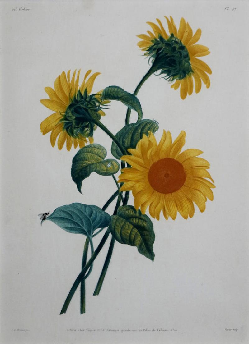 Jean Louis Prevost - JEAN LOUIS PREVOST (1760-1810), PLATE 47