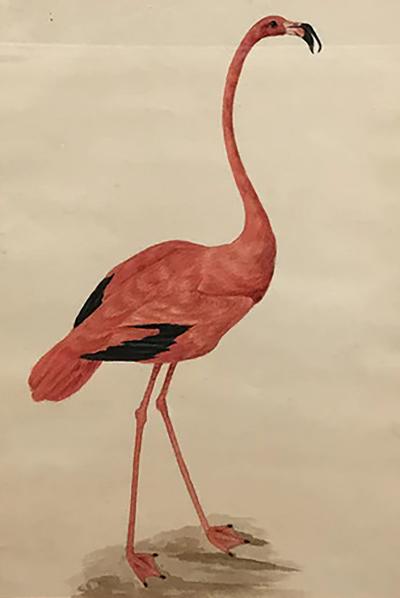 Sarah Stone Art Illustrations Birds | Incollect