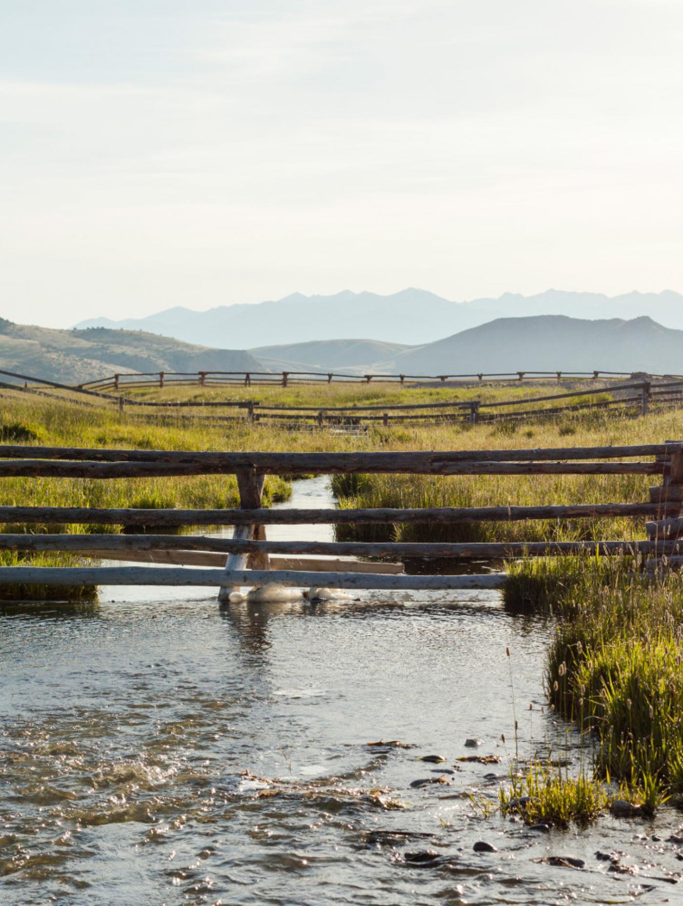 Diamond O Albers Ranch - Montana by Kylee Shintaffer Design