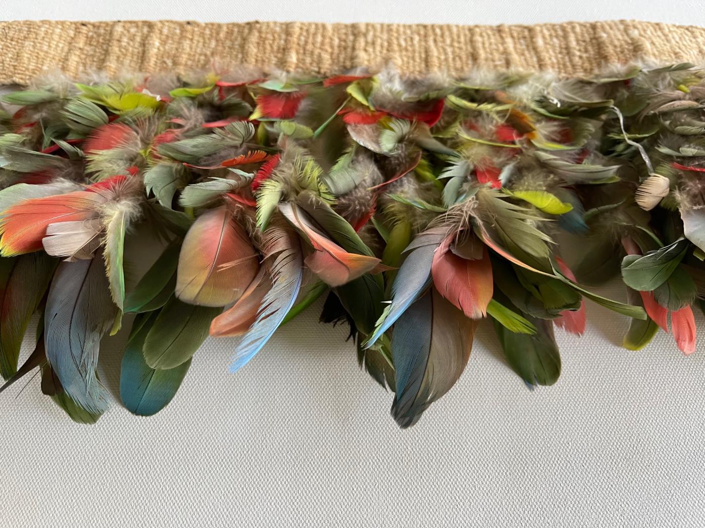 Brazilian Feather Headdress Guajajara Tribe Ex-Museum Piece