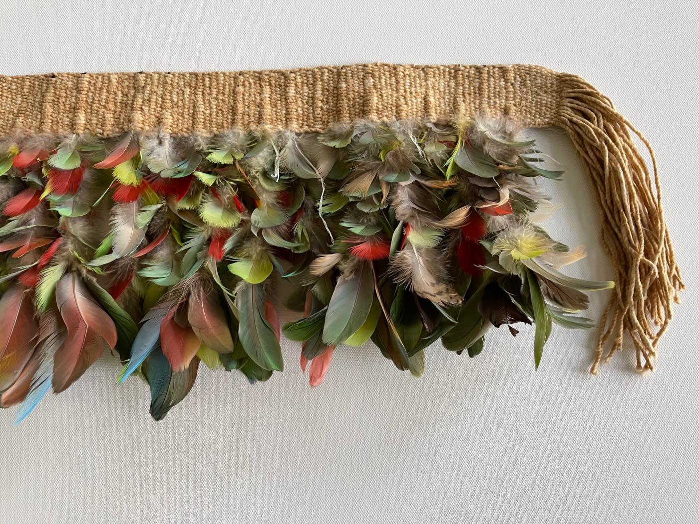 Brazilian Feather Headdress Guajajara Tribe Ex-Museum Piece