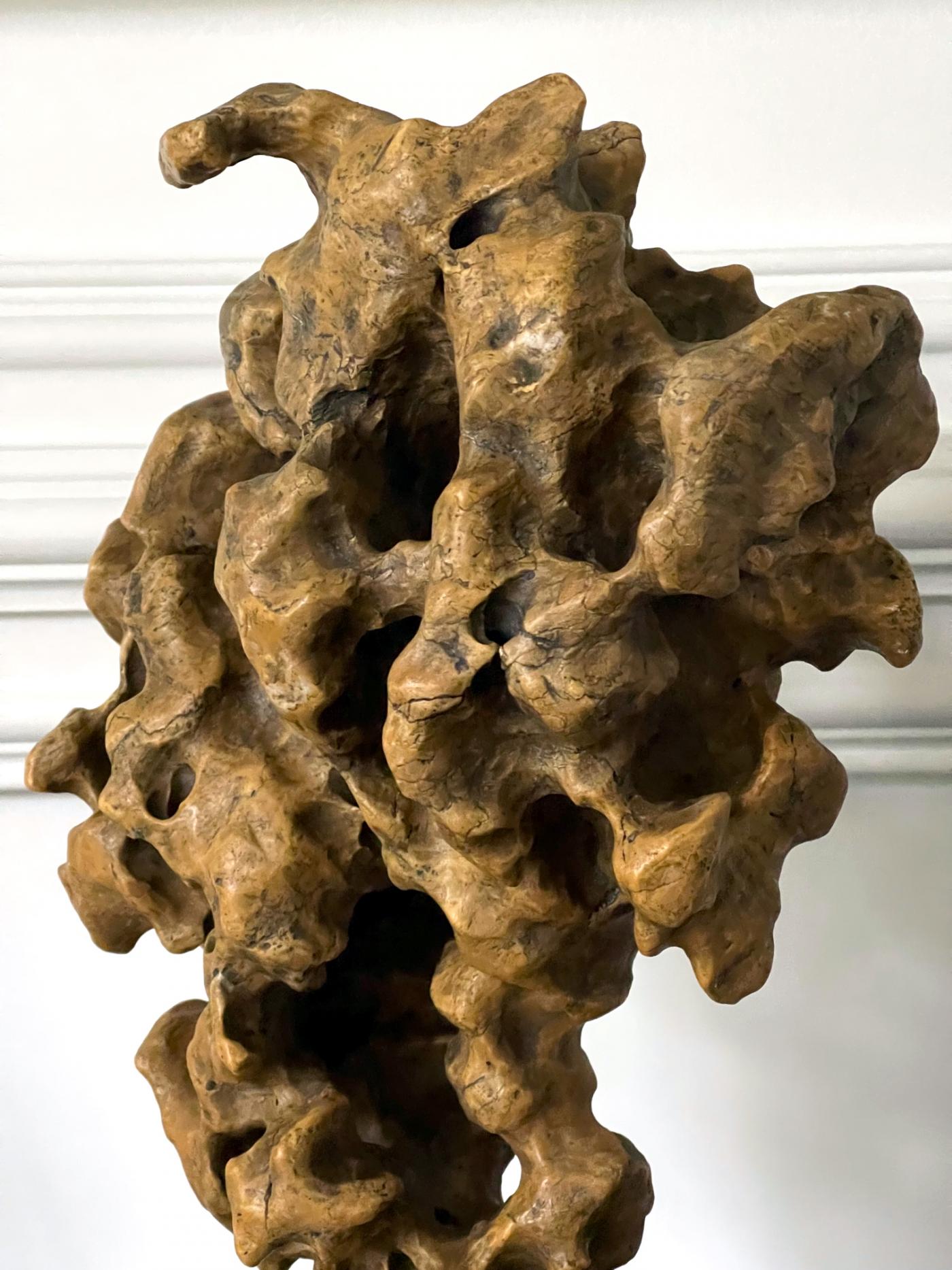 Chinese Scholar Rock Yellow Taihu Stone on Wood Stand