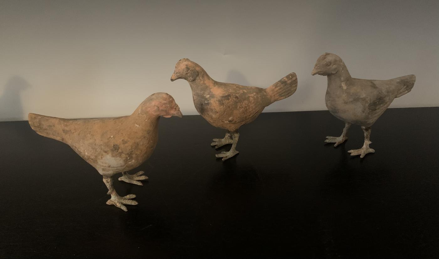 Group of six Han Dynasty Chickens