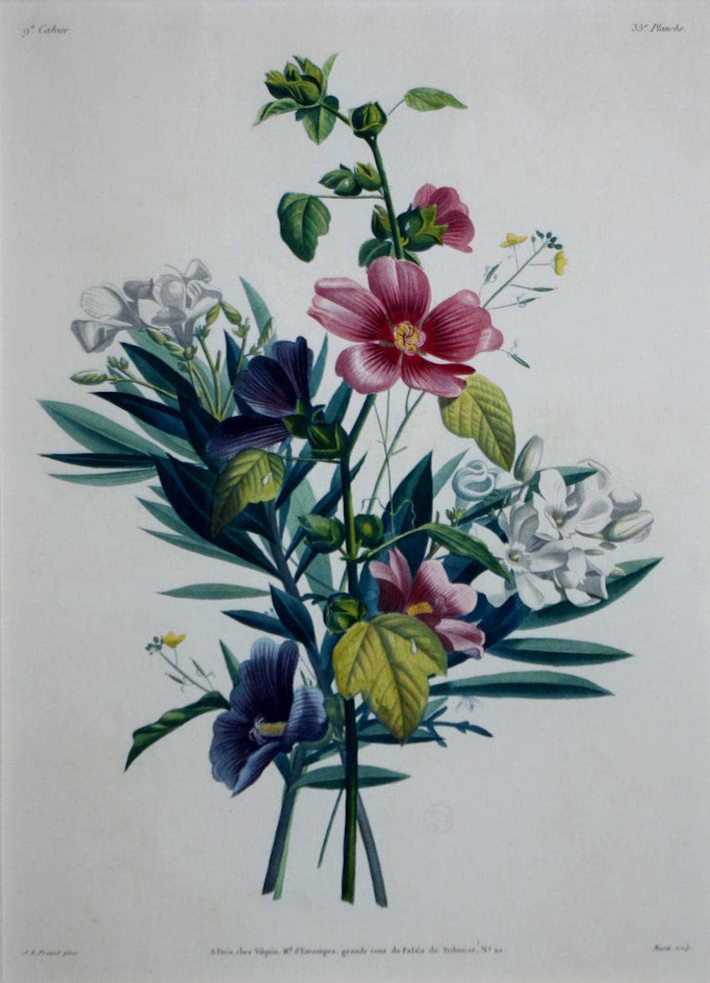 Jean Louis Prevost - JEAN LOUIS PREVOST (1760-1810), PLATE 35