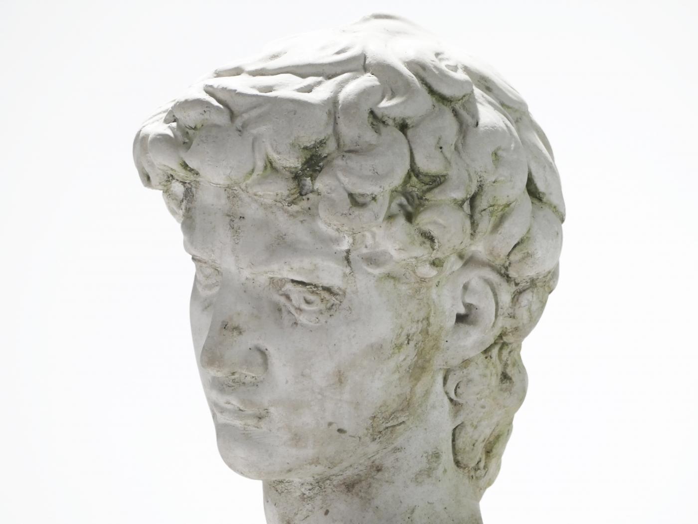 The Holy Bible / Biblical - Plaster bust of David, France, 1950s