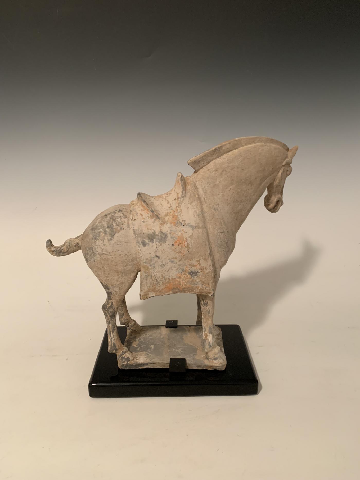 Tang Dynasty Horse
