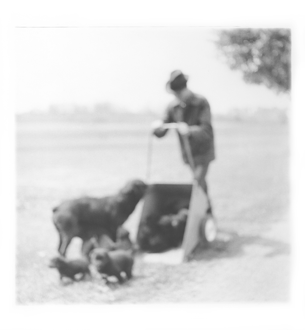 A Bill Jacobson Retrospective Takes Over Both Robert Klein Gallery ...